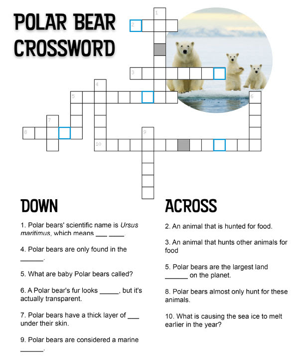 Eco-Activity: Polar word puzzle! - Earth Rangers